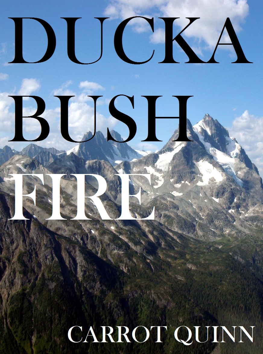 Duckabush Fire: A Story of Adventure in the Wilderness | CARROT QUINN