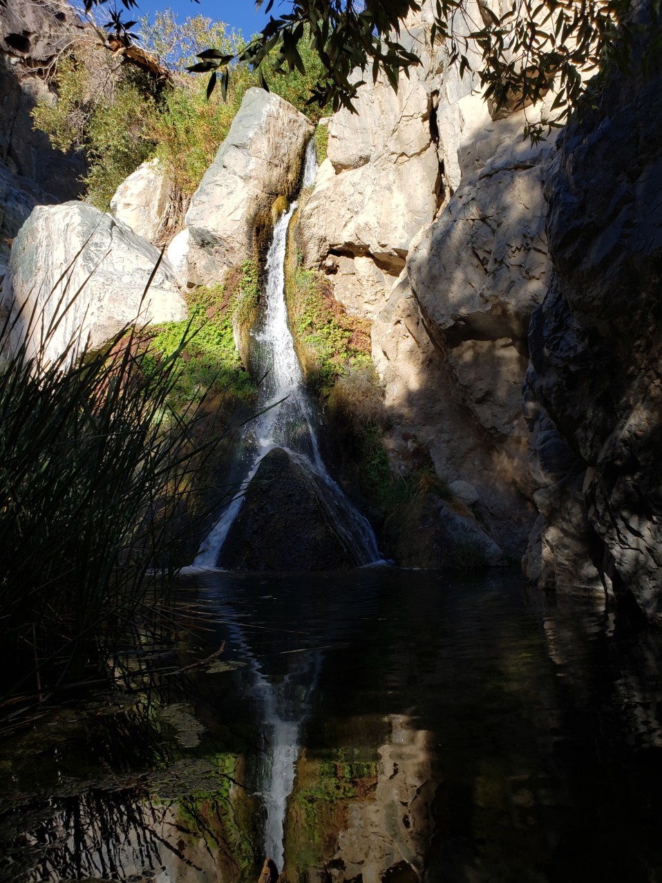 L2H day 5: the puzzle of Darwin canyon | CARROT QUINN