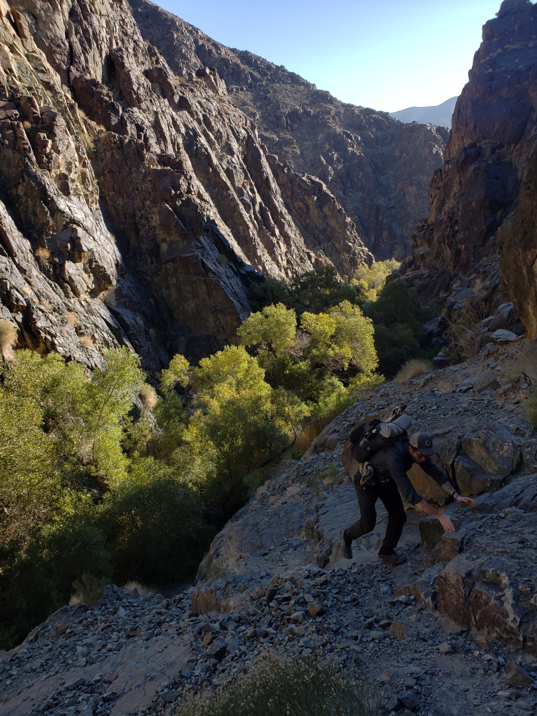 L2H day 5: the puzzle of Darwin canyon | CARROT QUINN