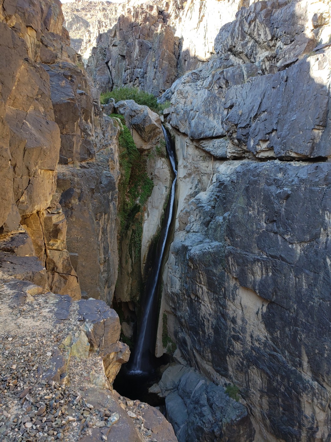 L2H day 5: the puzzle of Darwin canyon | CARROT QUINN