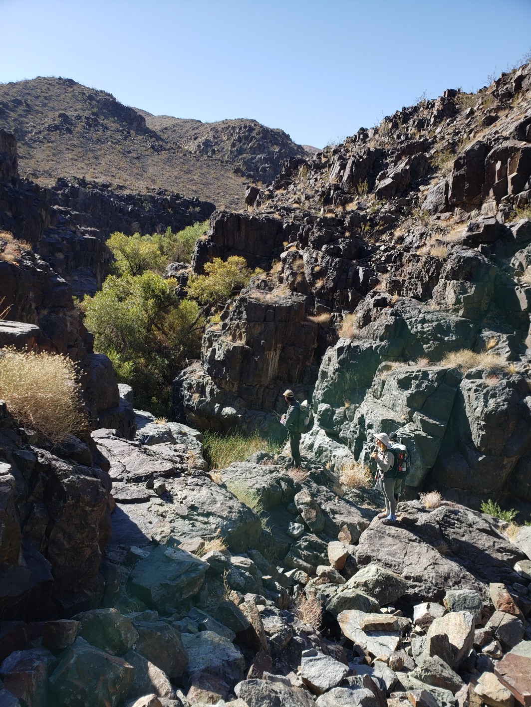 L2H day 5: the puzzle of Darwin canyon | CARROT QUINN